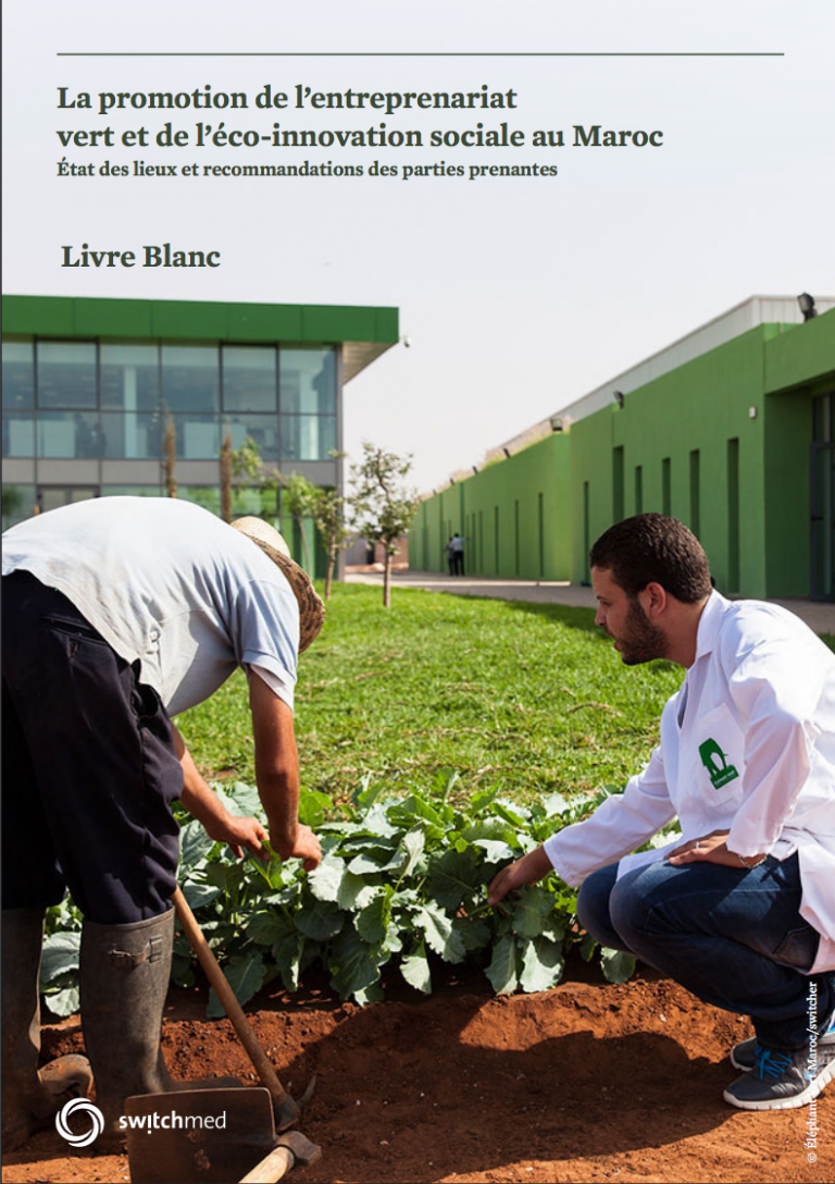 Promotion of Moroccan Green Entrepreneurship Ecosystem - EU Neighbours