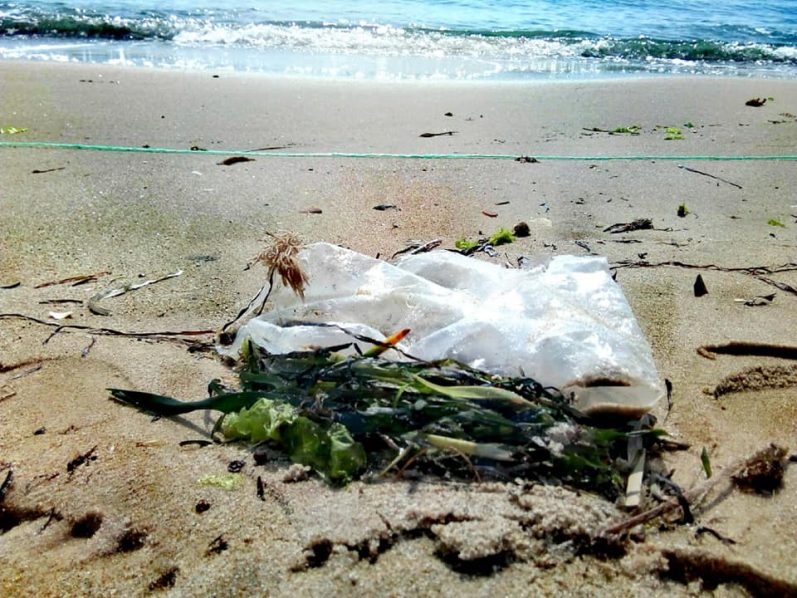 EU-funded COMMON project: start of monitoring activities of beach ...