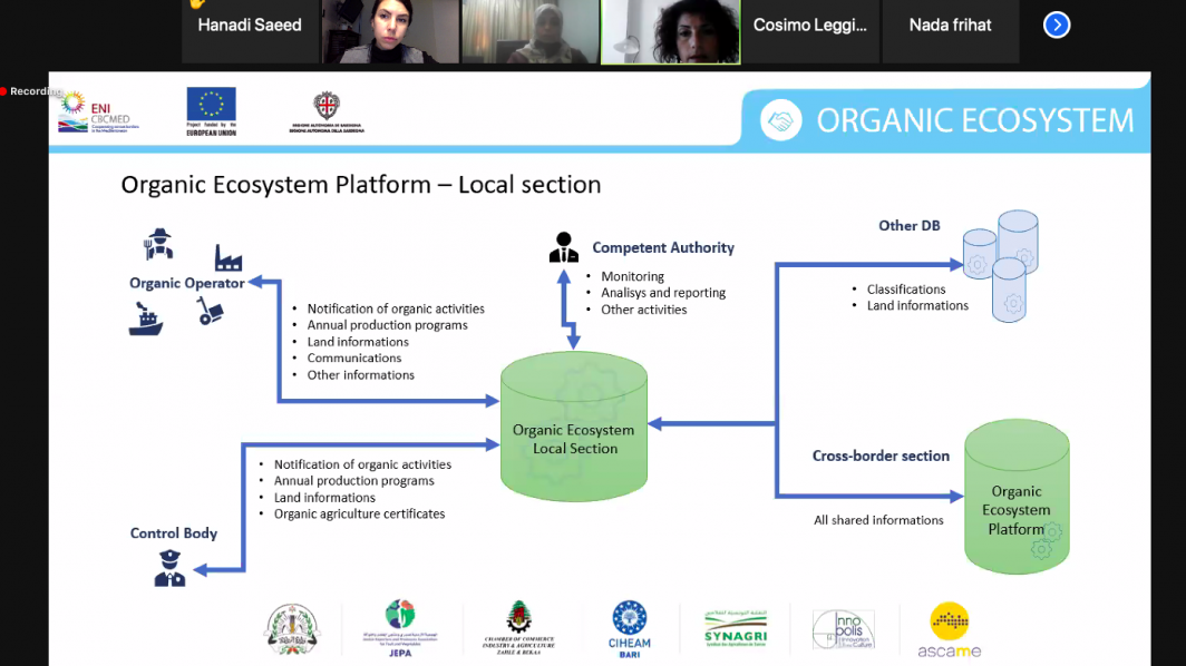 Rabat Process Ministerial Conference Adopted New Action Plan on ...