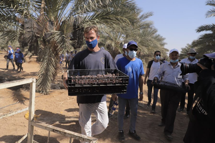The European Union organises a dates picking day with young ...