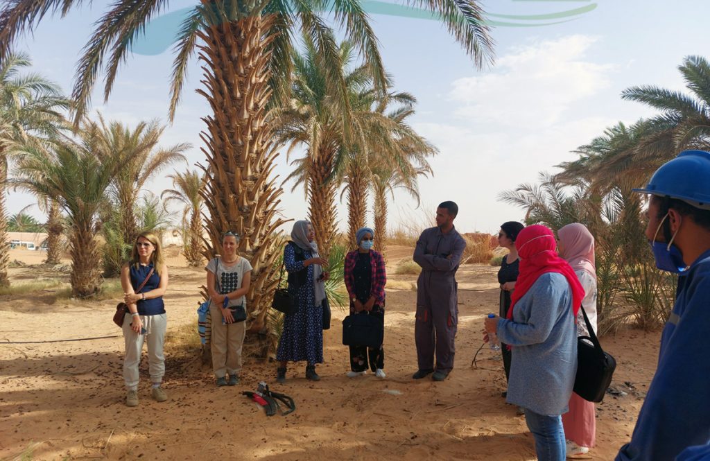 Palm tree exploitation project boosts local economy and social cohesion ...