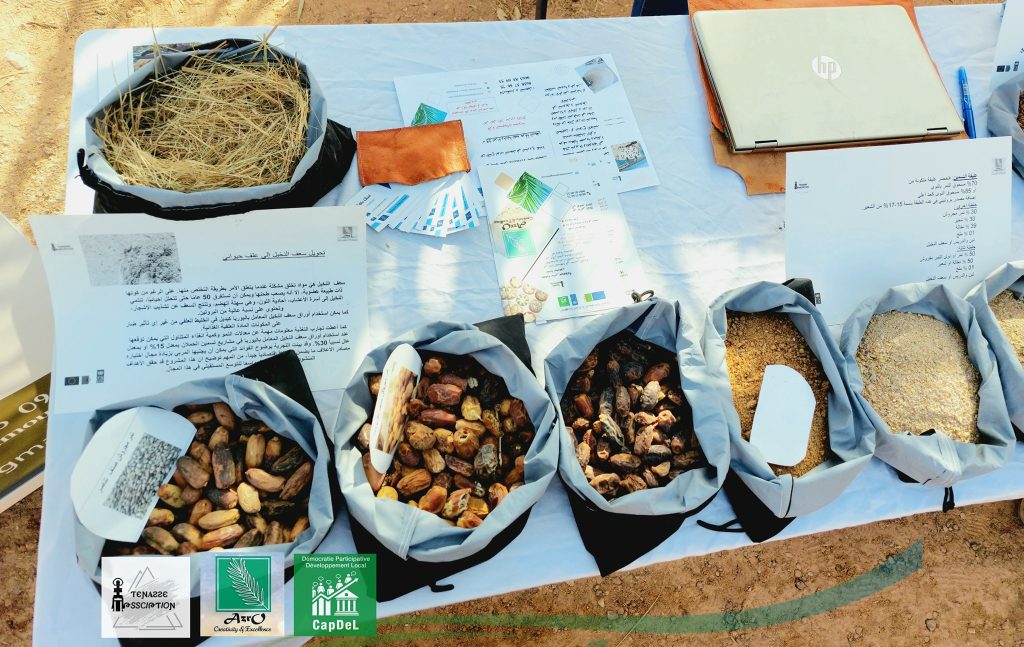 Palm tree exploitation project boosts local economy and social cohesion ...