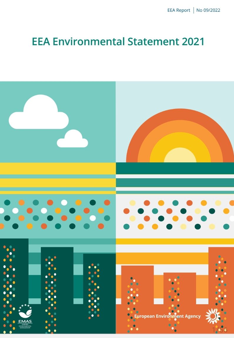 EEA environmental statement 2021 - EU Neighbours