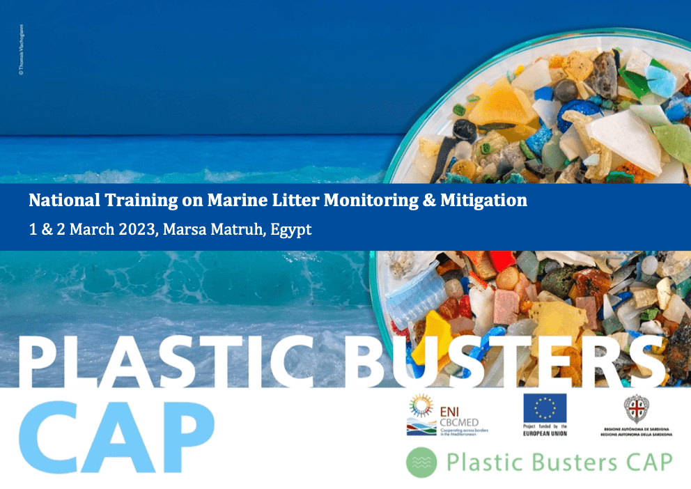 Egypt: Plastic Busters CAP national training on marine litter ...