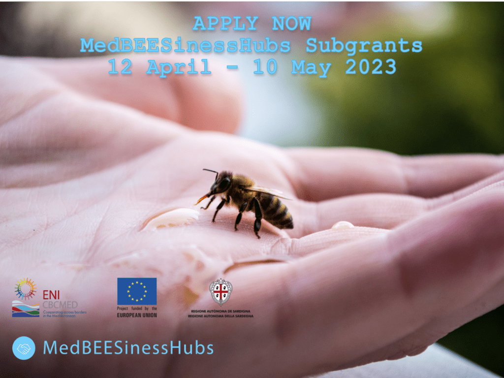Subgrants for more than 50 beneficiaries to build the Bee Economy, EU ...