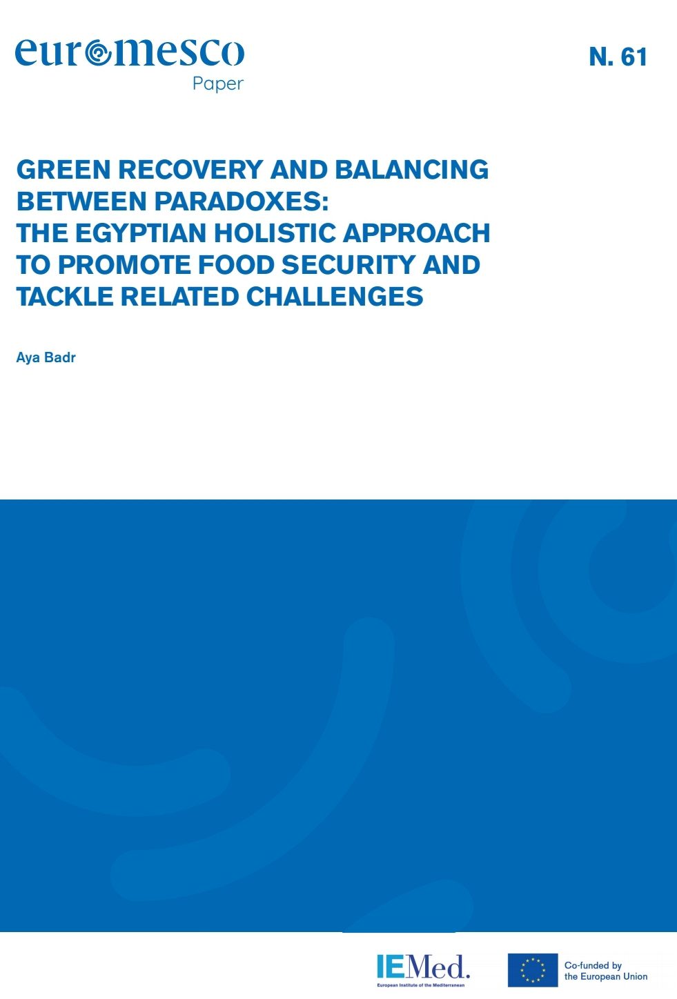 Green Recovery and Balancing Between Paradoxes: The Egyptian Holistic ...