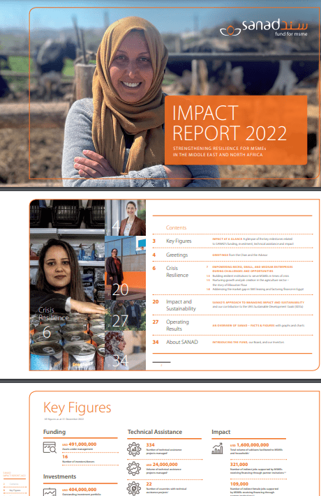 SANAD Fund releases 2022 Impact Report - EU Neighbours
