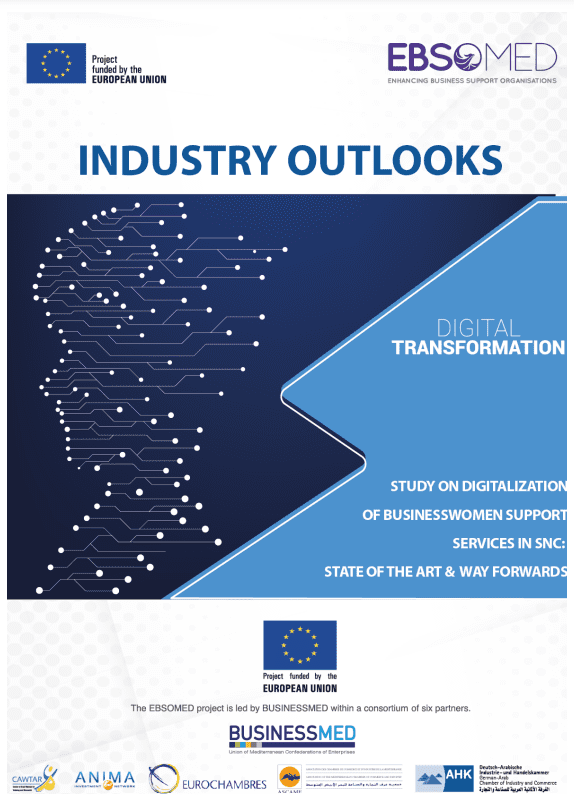 Digital Transformation - Study on Digitalization of Businesswomen Support Services in SNC: State ...