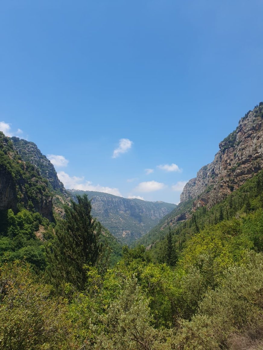 Protecting ecological treasures: at the heart of one of the EU’s ...